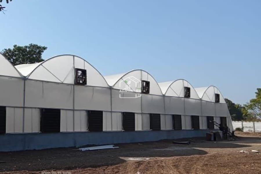 Fan-Pad Cooling System Poly House – JH Agriinfra